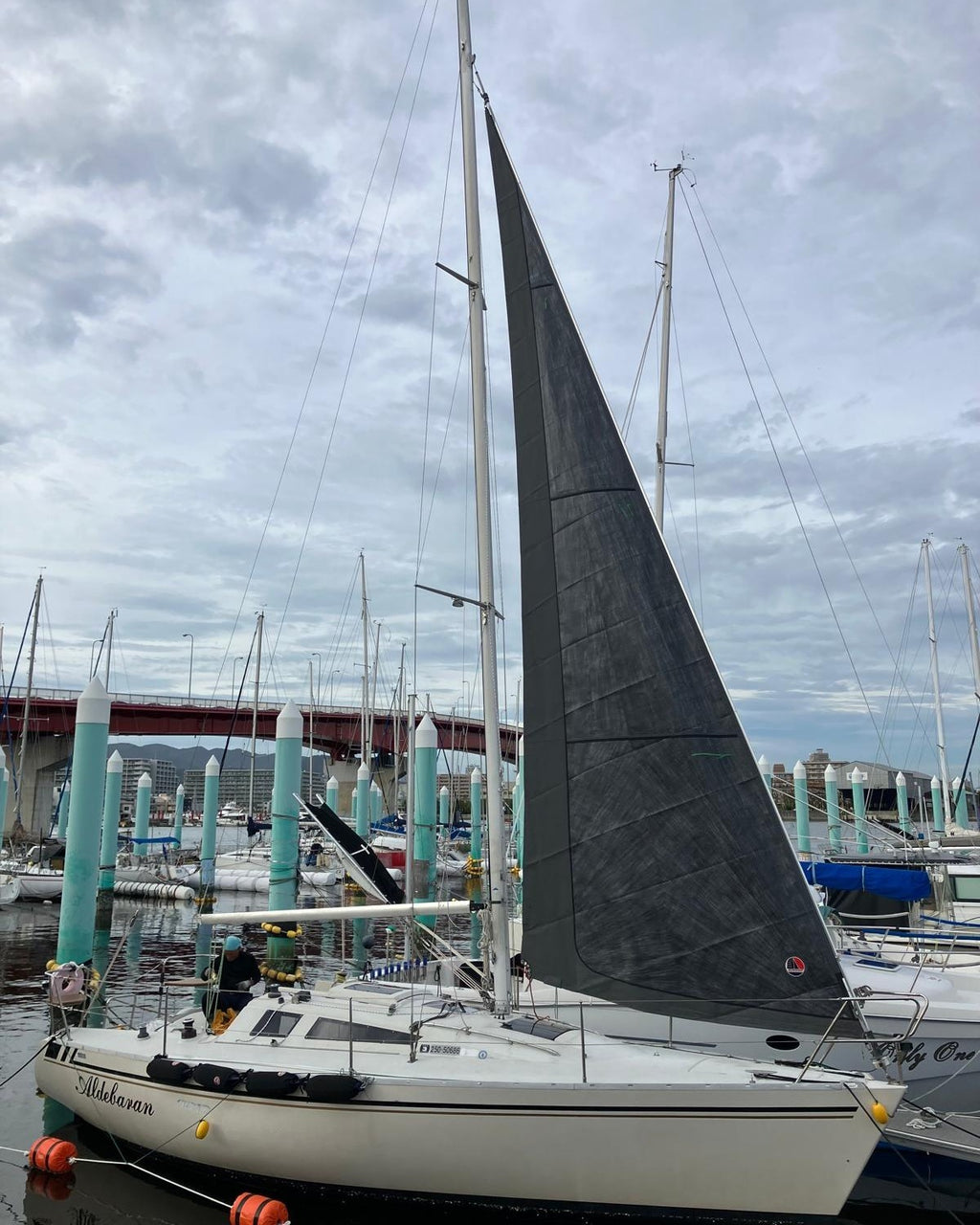 Yamaha 30S2 Self Tacking Tri Radial Jib! 😍👍 – Robship