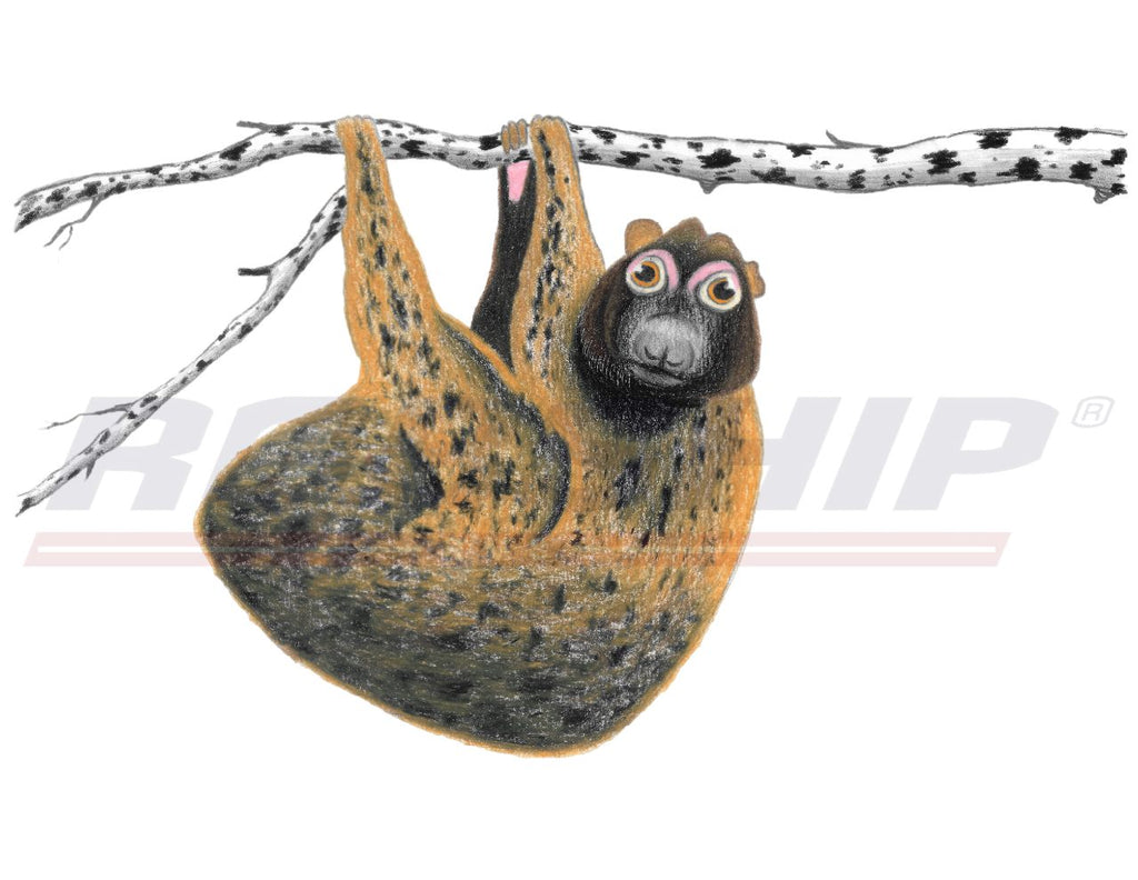 Eric's version of Flying Fox – Robship