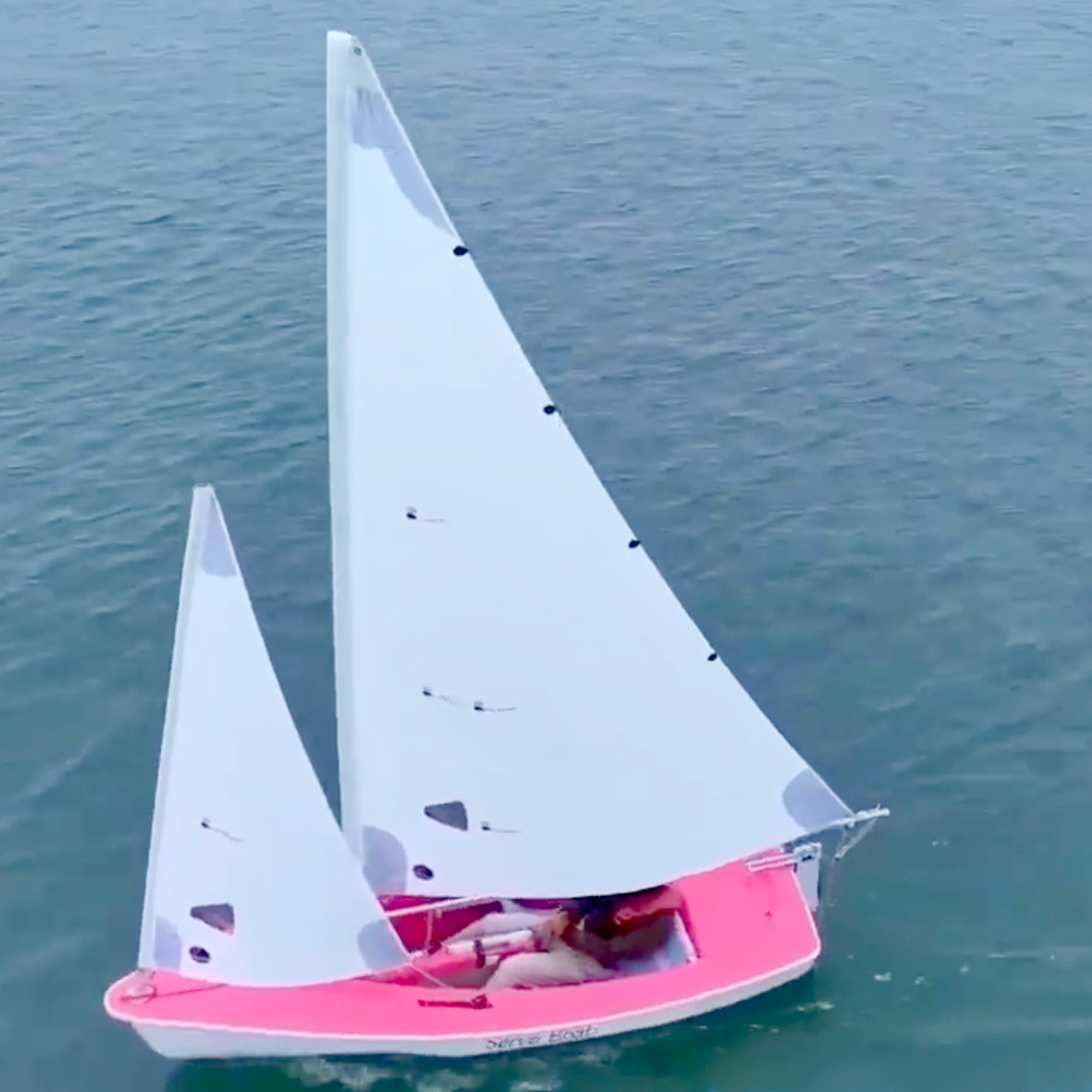 Hansa 303 Training – Robship